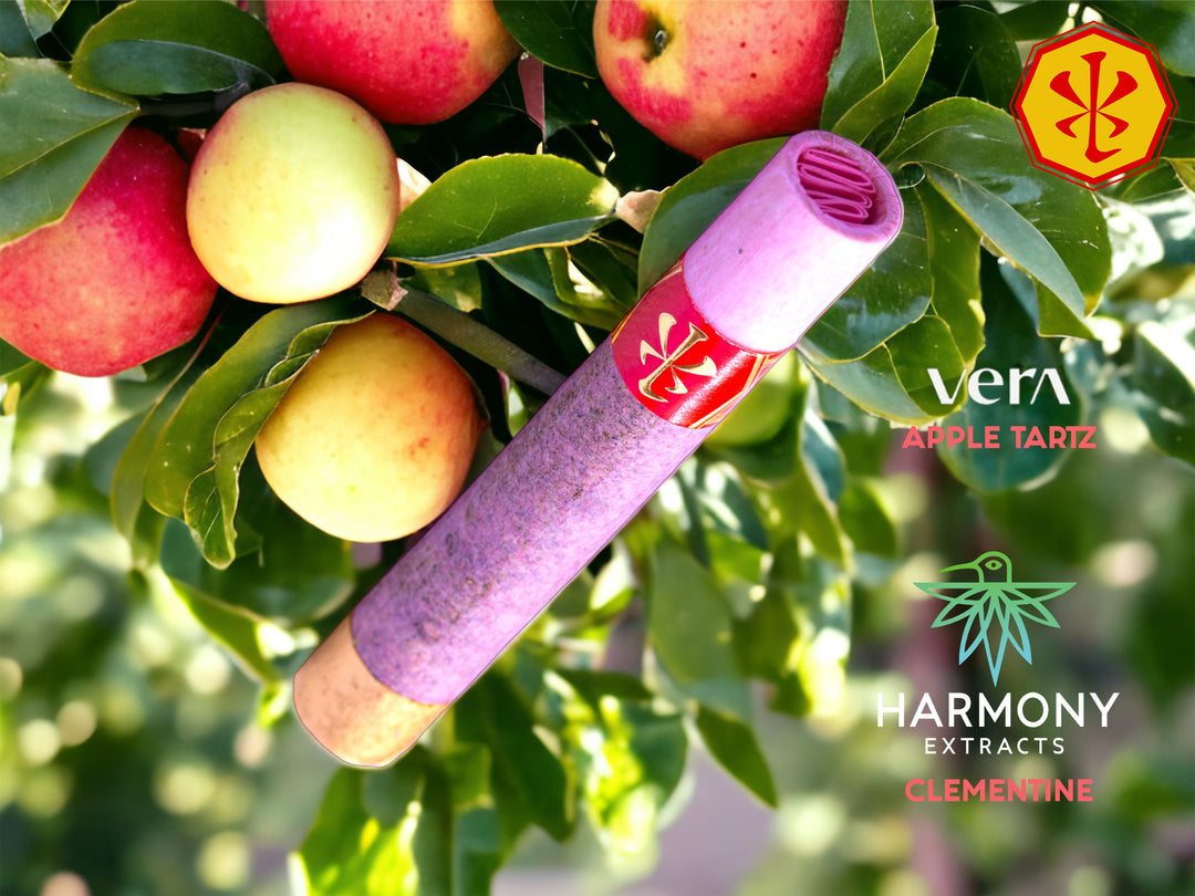 Newest Releases – Made In Xiaolin