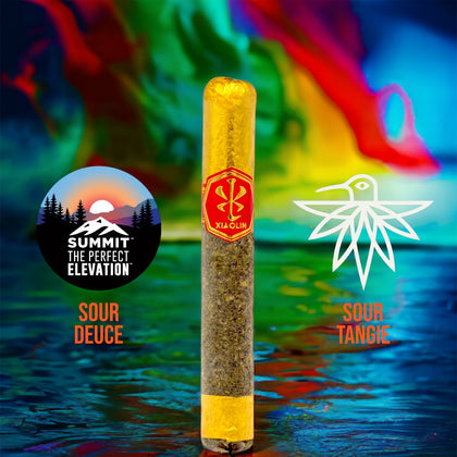 Newest Releases – Made In Xiaolin