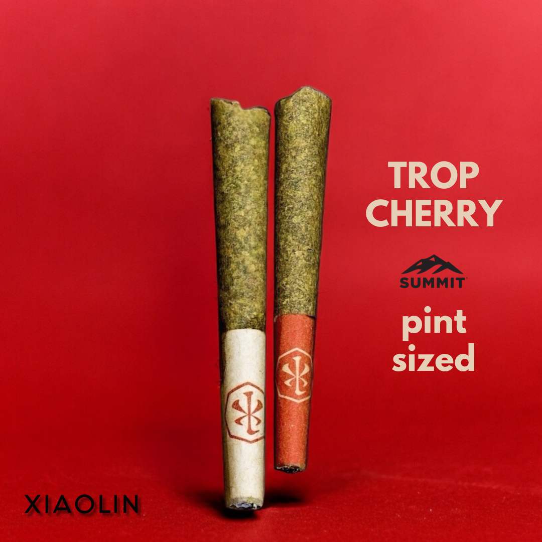 Newest Releases – Made In Xiaolin