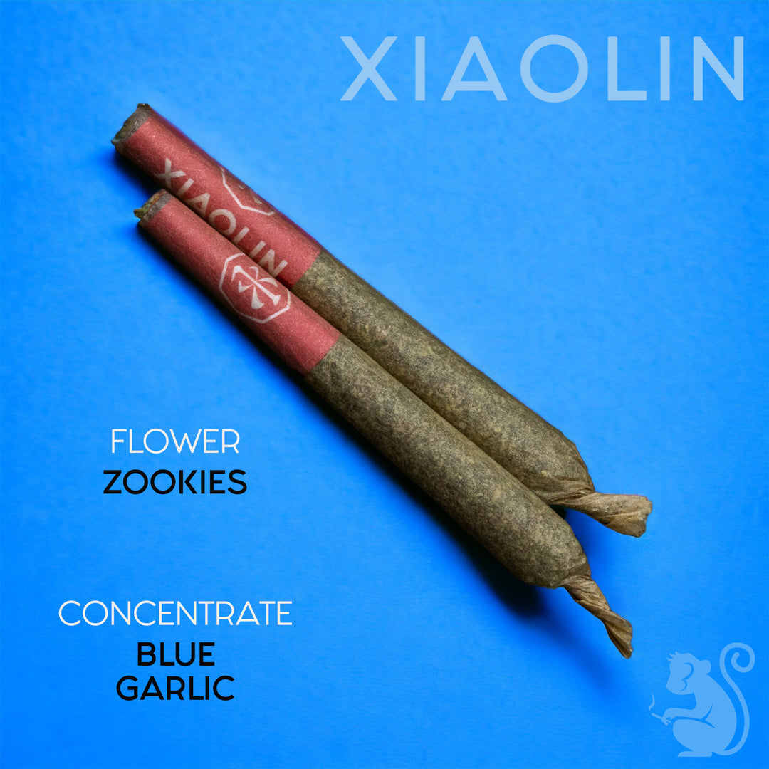 Newest Releases – Made In Xiaolin
